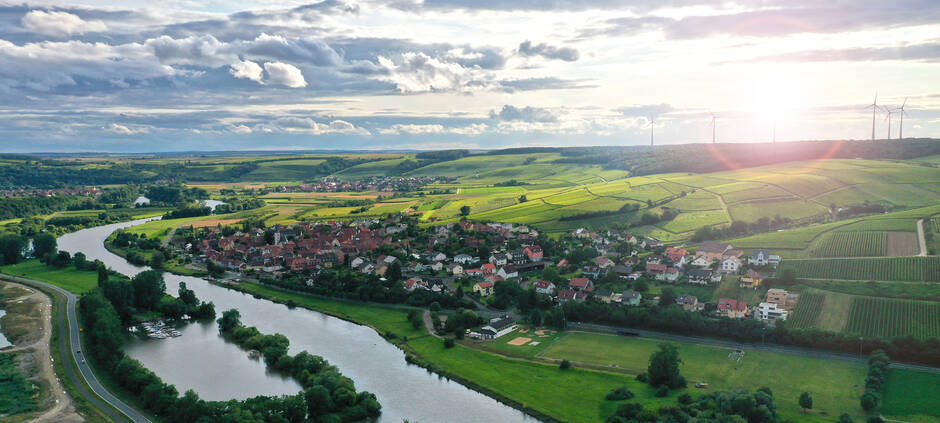 Verwilderte Weinberge - Antworten zu Fragen rund um die Rodung von Rebflächen - Aktuelles ...